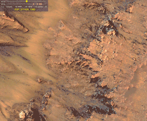 Discovered GIF - Find on GIFER