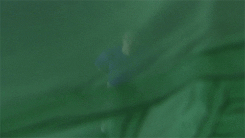 Art21 cuckold ronan the accuser GIF - Encontrar em GIFER