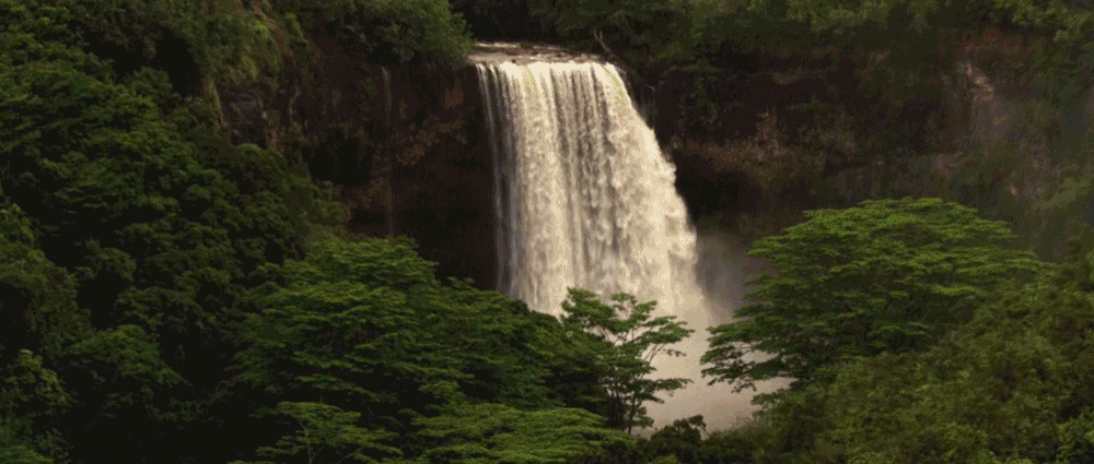 Discovery GIF - Find on GIFER