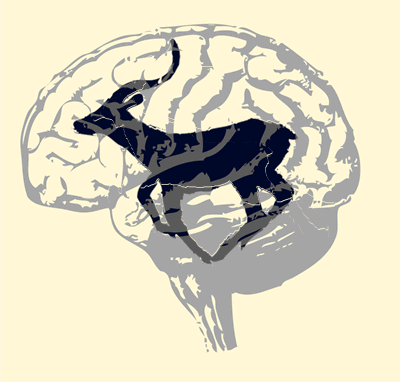 Mixed media GIF - Find on GIFER