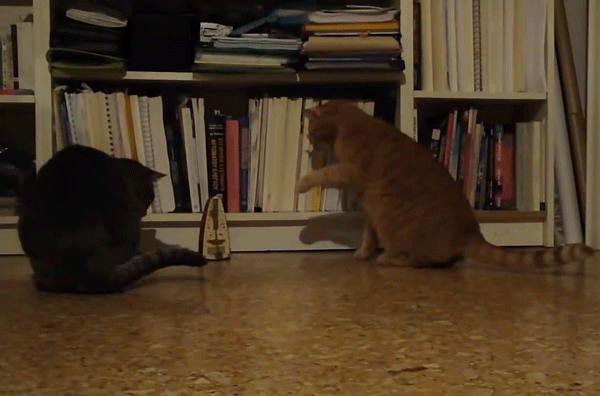 Gif Divertido Del Jefe Keef