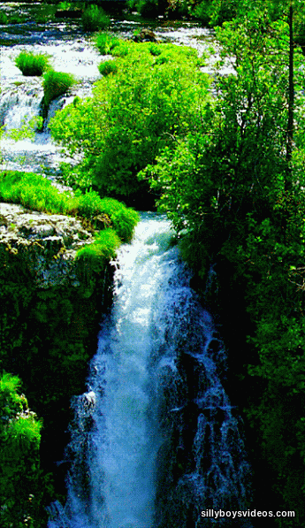 GIF natural - animated GIF on GIFER