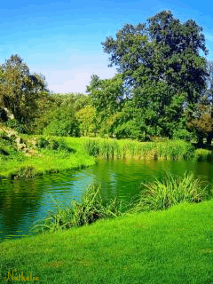 Natural GIF - Find on GIFER