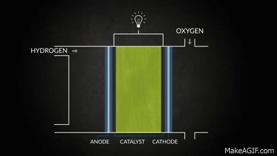 Cell animation GIF - Find on GIFER
