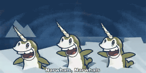 Narwhals GIF - Find on GIFER