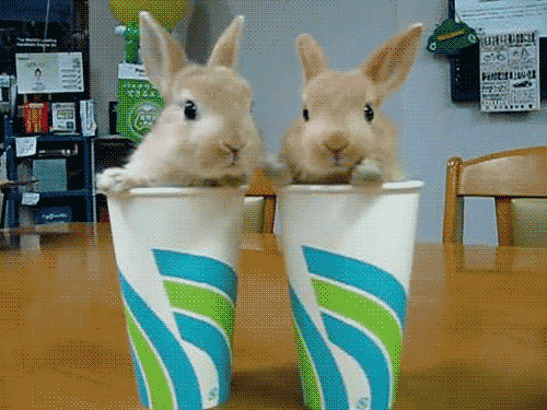 Mood tonight GIF - Find on GIFER