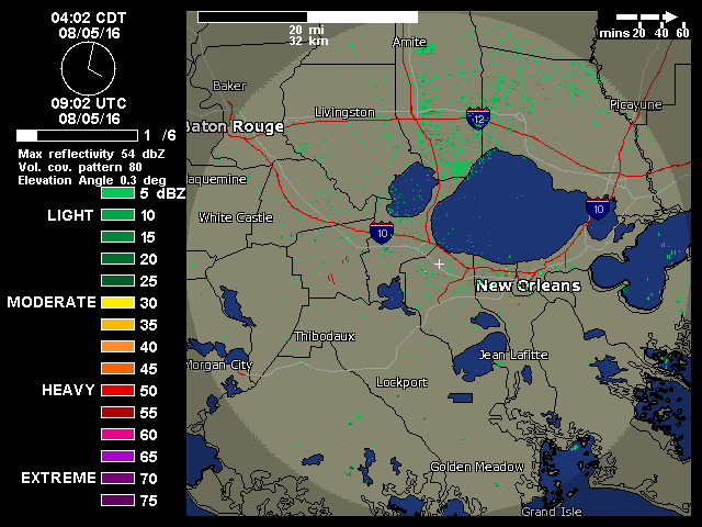 Bayou GIF - Find on GIFER