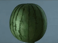 GIF slow mo - animated GIF on GIFER