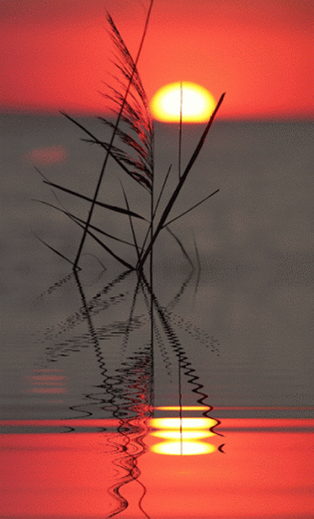 Sunset GIF - Find on GIFER