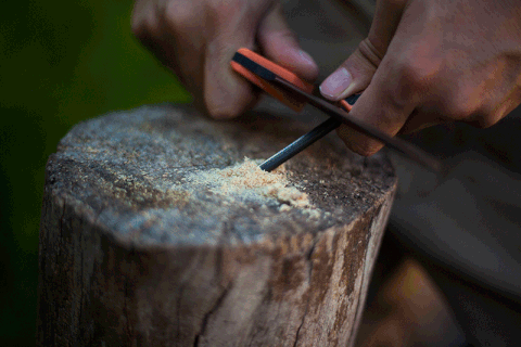 Survival GIF - Find on GIFER