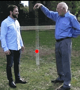 Slinky drop gravity GIF - Find on GIFER