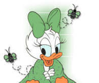 GIF daisy - animated GIF on GIFER