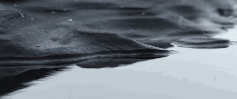 GIF 4k - animated GIF on GIFER