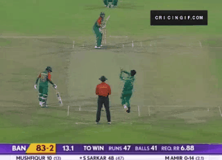 Pakistan GIF - Find on GIFER