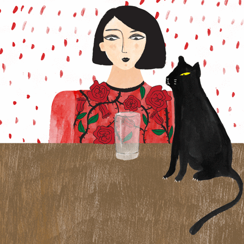 GIF telekinesis funny cat - animated GIF on GIFER