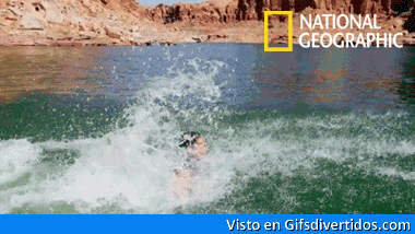 GIF divertidos saltando site - animated GIF on GIFER