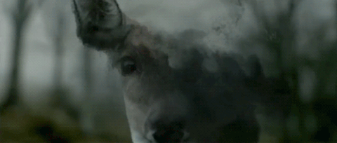 Safe GIF - Find on GIFER