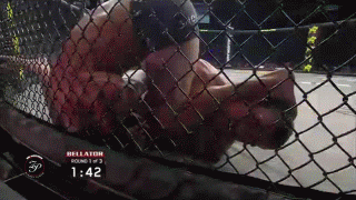 Gnarly GIF - Find on GIFER