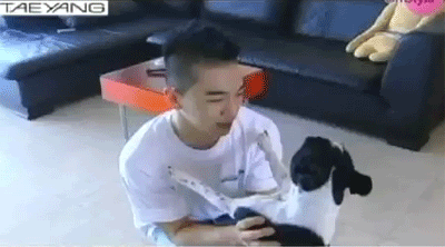 Taeyang GIF - Find on GIFER