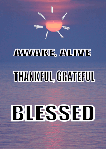 Blessed GIF - Find on GIFER