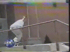 Hip flexibility GIF - Find on GIFER