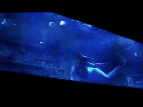 Mermaids GIF - Find on GIFER
