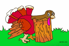 Turkey GIF - Find on GIFER