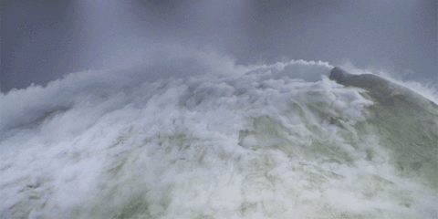 GIF leech - animated GIF on GIFER