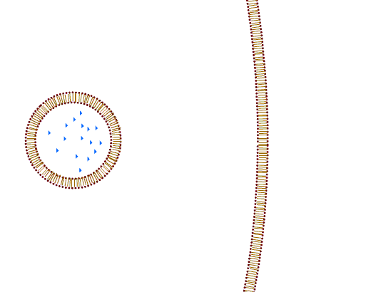 The cell GIF - Find on GIFER