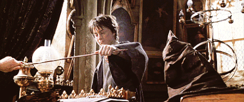 Gryffindor GIF - Find on GIFER