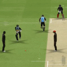 GIF cricket - animated GIF on GIFER