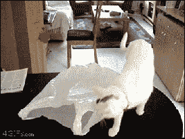 GIF trap its a trap - animated GIF on GIFER