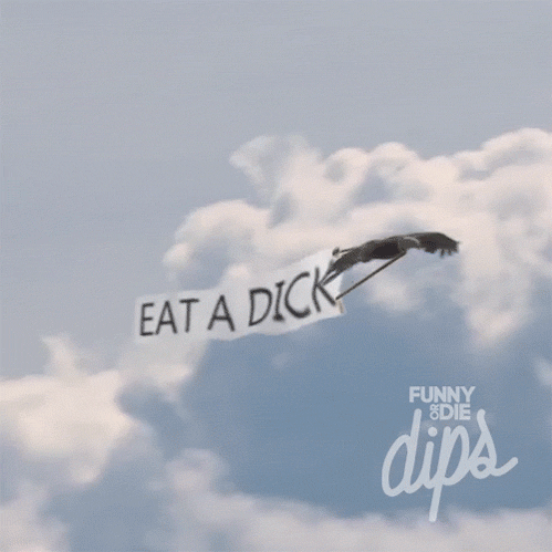 GIF funny or die dips animais - GIF animado em GIFER