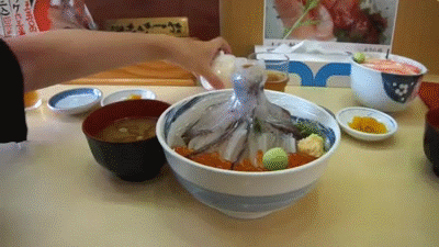 Dq GIF - Find on GIFER
