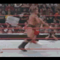 Randy orton GIF - Find on GIFER