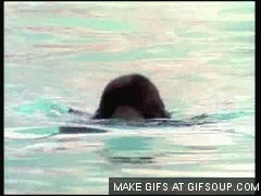 Vision GIF - Find on GIFER