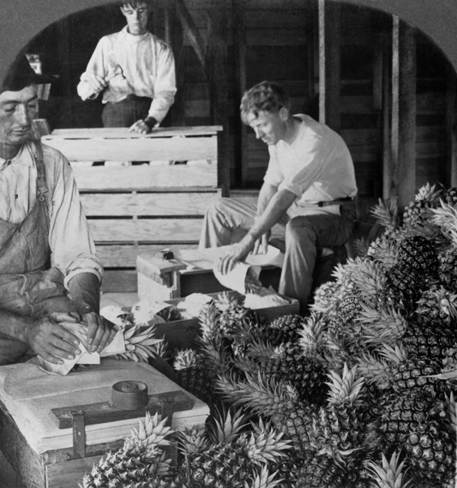 Spongebob squarepants vintage 3d GIF - Find on GIFER