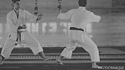 Sports ufc GIF - Find on GIFER