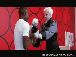 Will Ferrell Zoolander Gif Mugatu So Hot Right Now From Zoolander HD