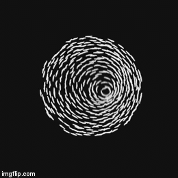 Inward GIF - Find on GIFER