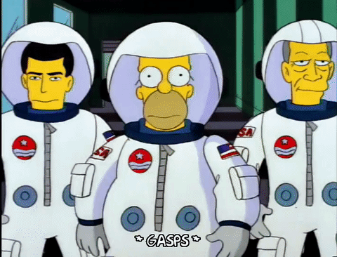 Homer simpson season 5 episode 15 GIF - Find on GIFER