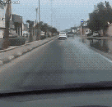 GIF safety - animated GIF on GIFER