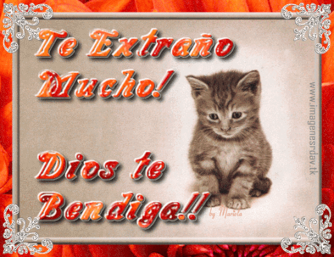 GIF extra - animated GIF on GIFER