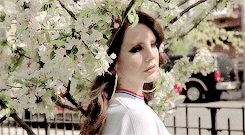 Nightmare Before Christmas Gif Tumblr