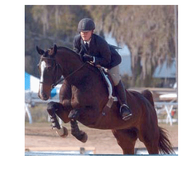 GIF equestrian - animated GIF on GIFER
