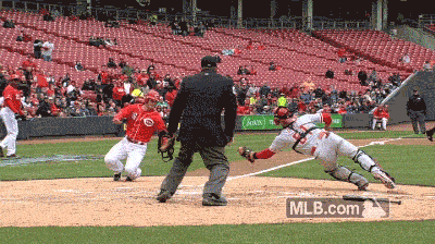 GIF reds baseball - animated GIF on GIFER