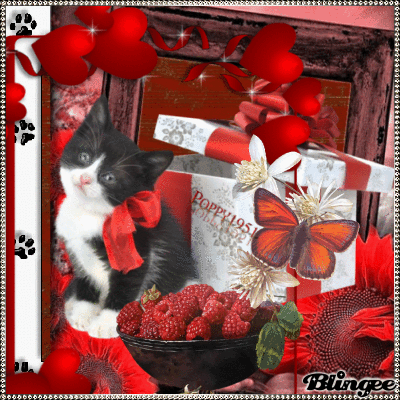 Tks GIF - Find on GIFER