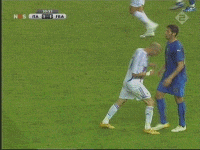 Zidane GIF - Find on GIFER