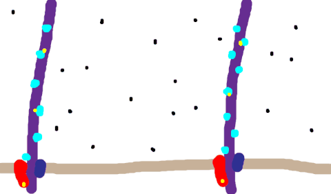 Microbiology GIF - Find on GIFER