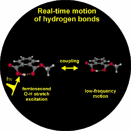 Bonds GIF - Find on GIFER